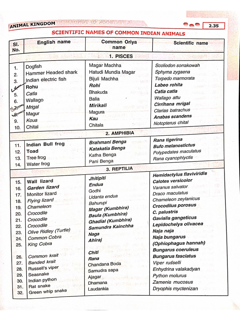 Scientific Name of Common Indian Animals | PDF