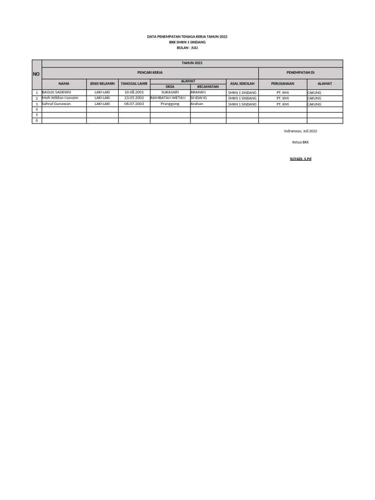 Format Penempatan Tenaga Kerja Tahun 2022 (Bkk) Bln Juli | PDF