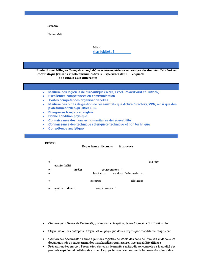 CV Sherif Informaticien | PDF