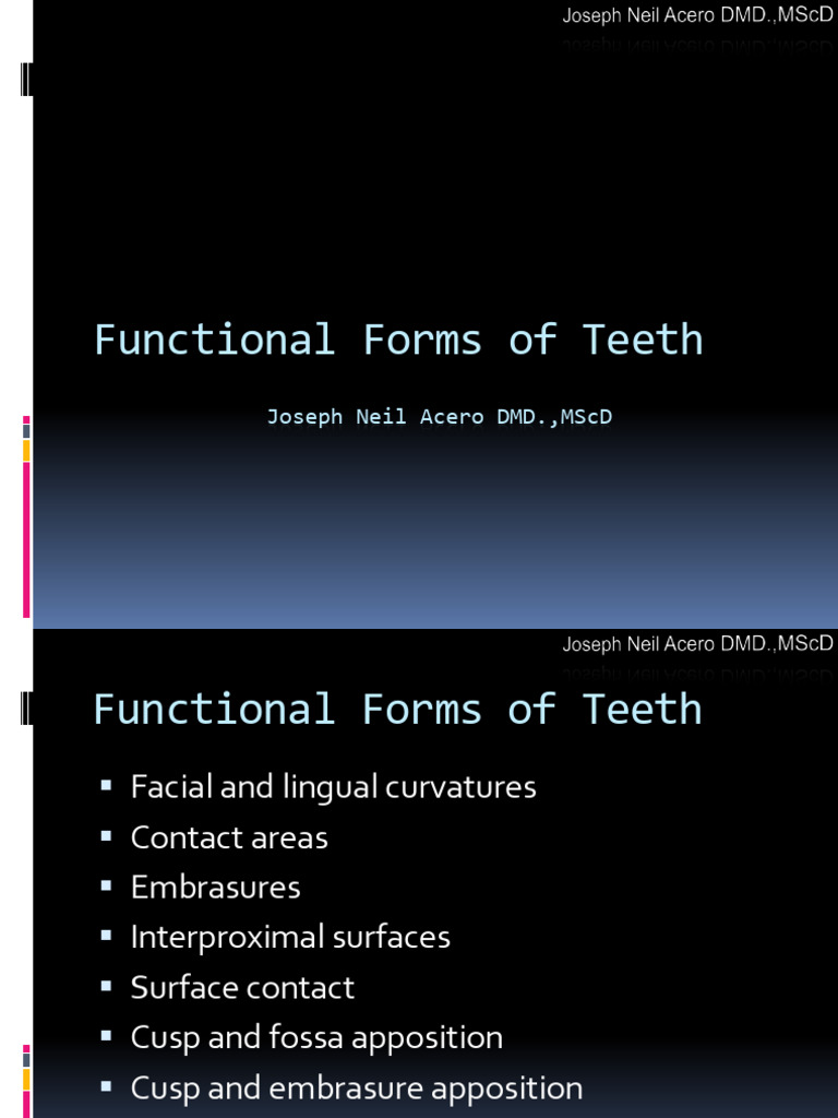 Functionalformsofteeth | PDF