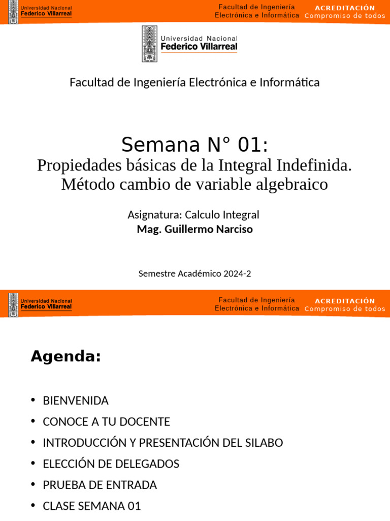 Sesion N°1 Calculo Integral | PDF