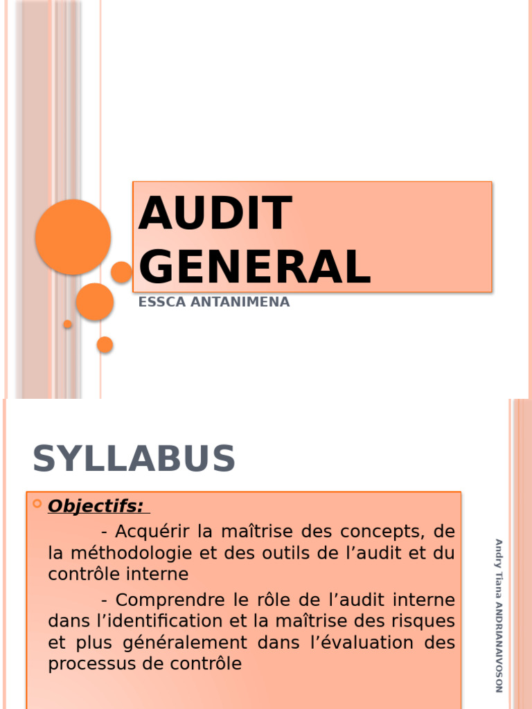 Audit General | PDF