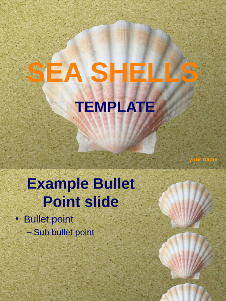 Sea Shells: Template | PDF