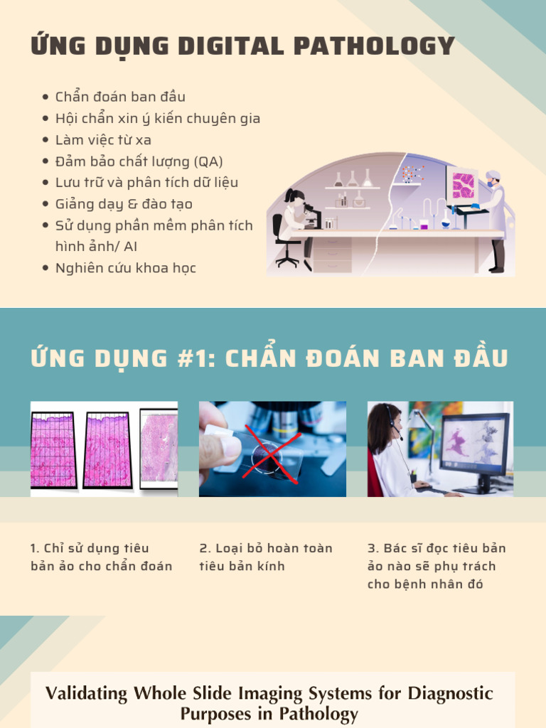 Digital Pathology - p11-p20 | PDF