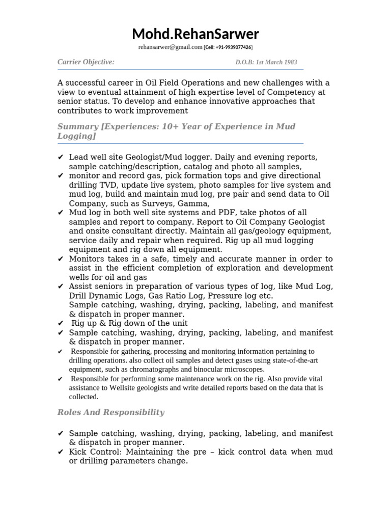 Resume Rehan 10+year Exp | PDF