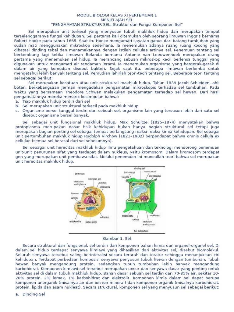 Modul Biologi Kelas Xi | PDF