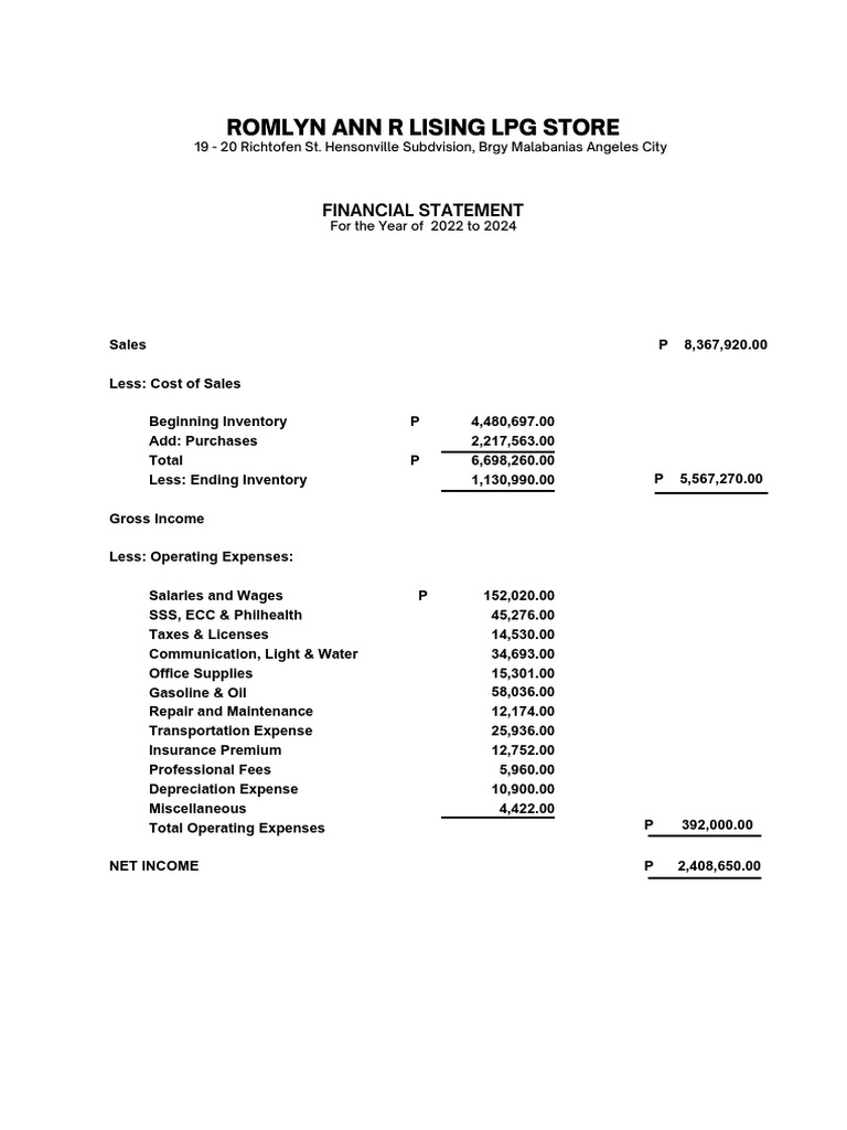 Annual Financial Statement | PDF