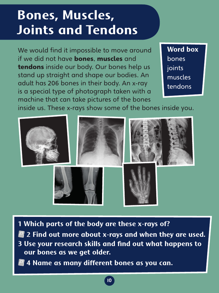 Science Year 3c | PDF