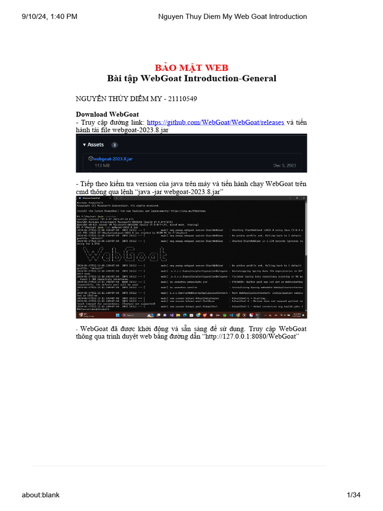 Nguyen Thuy Diem My Web Goat Introduction | PDF