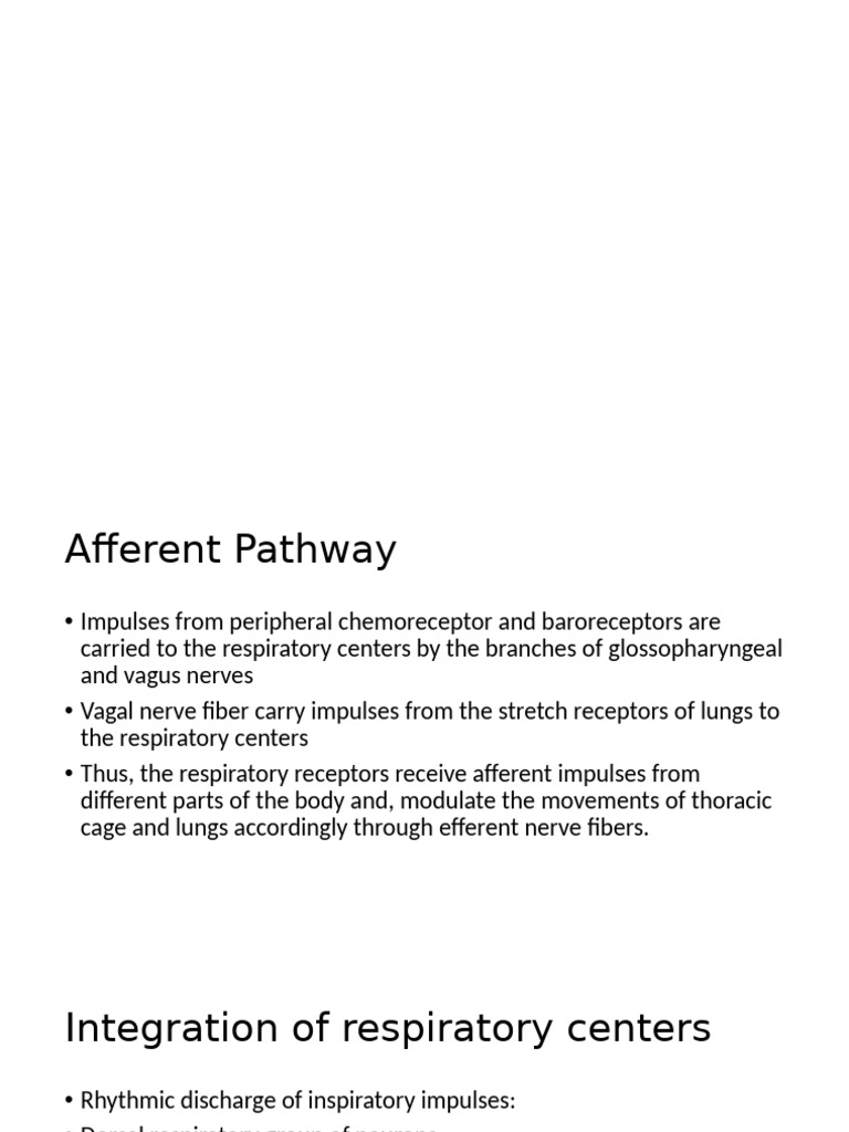 Regulation of Respiration | PDF | Lung | Physiology