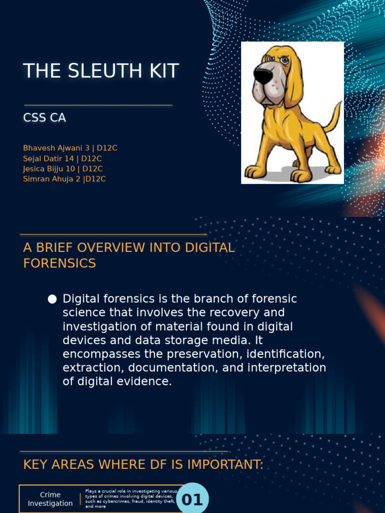 The Sleuth Kit | PDF