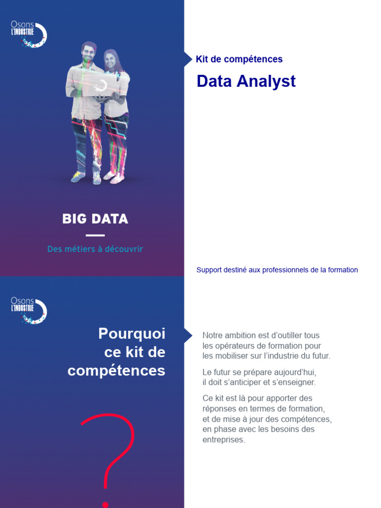 Kit Competences DataAnalyst | PDF