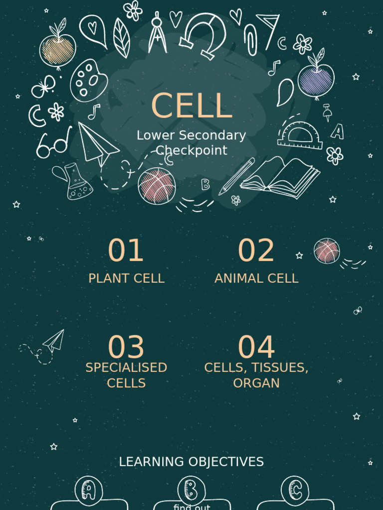 Lower Secondary Checkpoint | PDF
