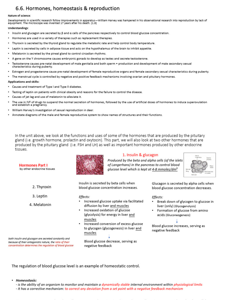 (28b) 6.6 Hormones, Homeostasis and Reproduction - Student | PDF