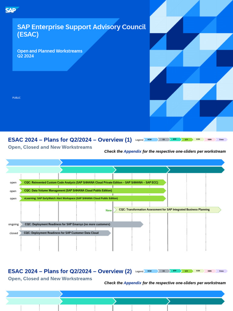 ESAC Workstreams Overview Q22024 | PDF | Sustainability | Business