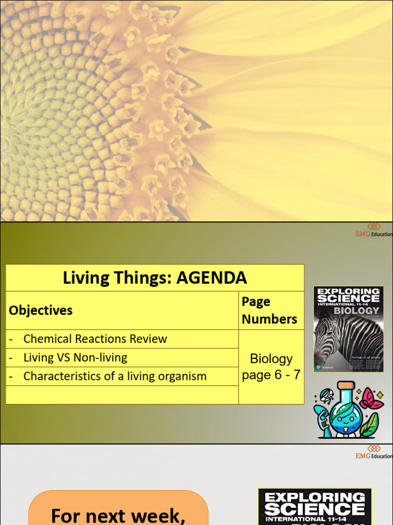 Living Things | PDF