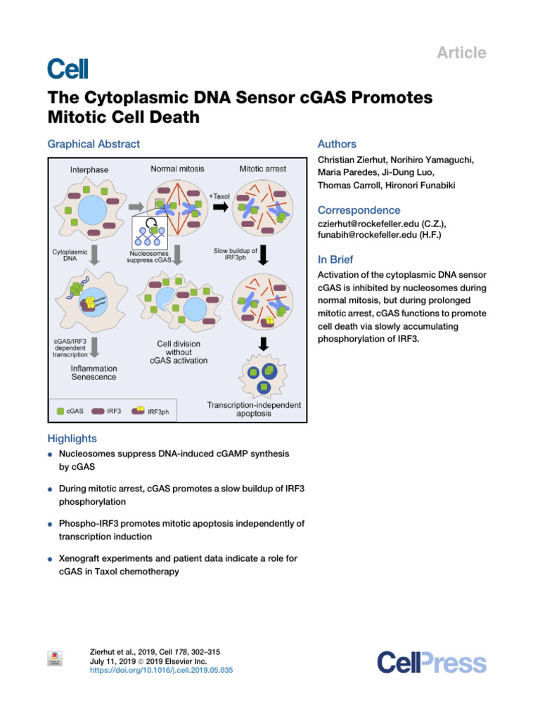 The Cytoplasmic DNA Sensor CGAS PromotesMitotic Cell Death | PDF