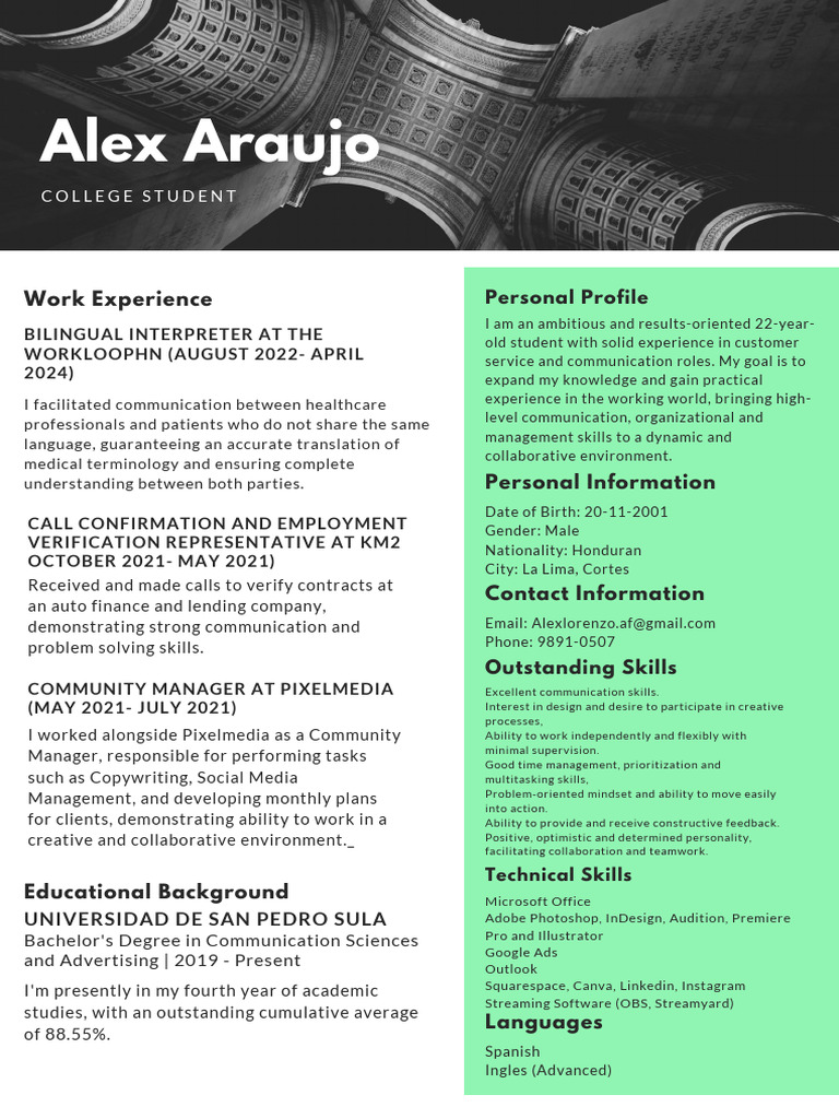 Alex Araujo Curriculum Vitae ING | PDF