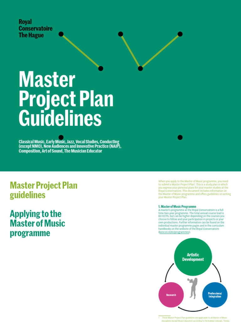 Master Project Plan Guidelines | PDF