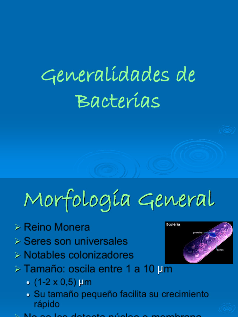 Comparto '1.0.-Generalidades de Bacterias' Contigo | PDF