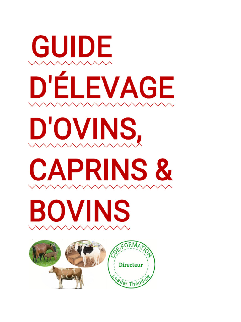 Support de Cours Élevage Des Ruminants | PDF