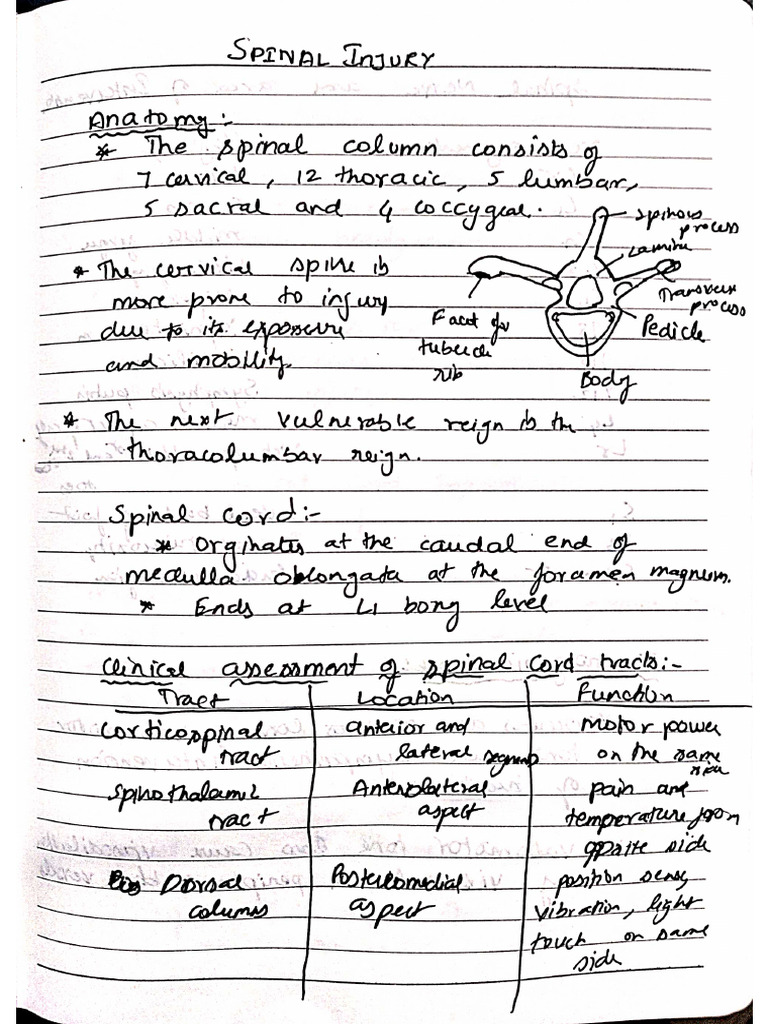 Spinal Injury Notes | PDF