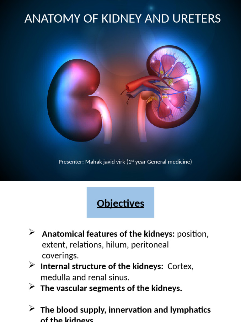 Presentation KIDNEY | PDF