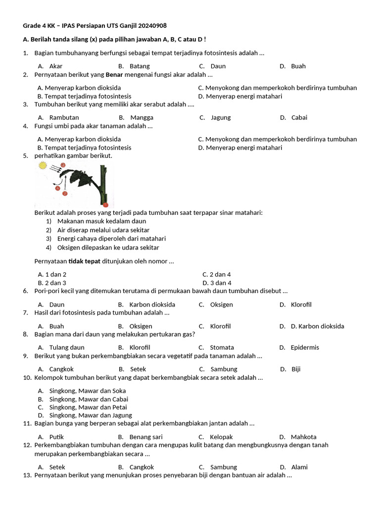 Grade 4 KK - IPAS Persiapan UTS Ganjil 20240908 | PDF