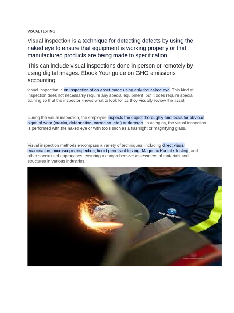 Visual Testing | PDF