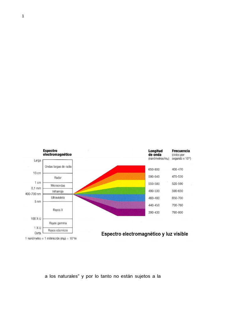 El Color De Los Alimentos Final 1 Pdf