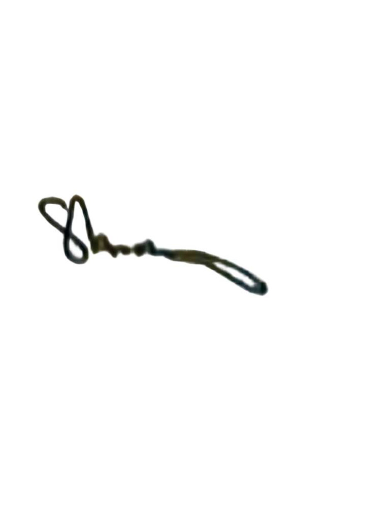 Emmytee Signature | PDF