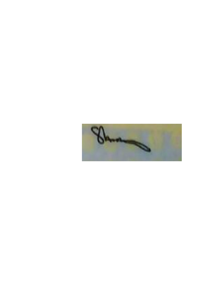 Emmytee Signature | PDF