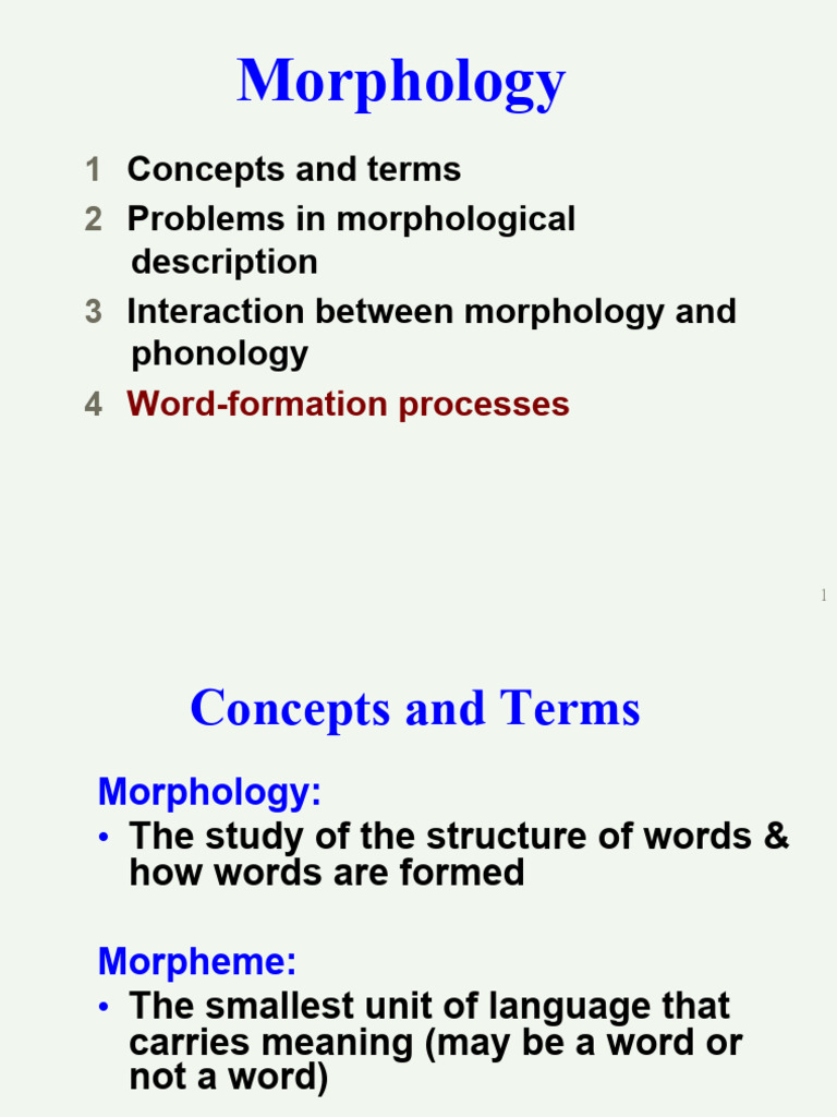 Morphology | PDF
