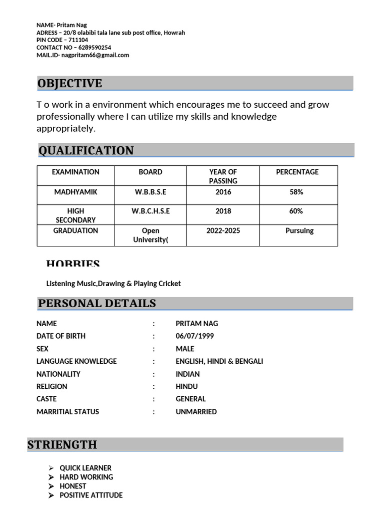 Pritam CV | PDF