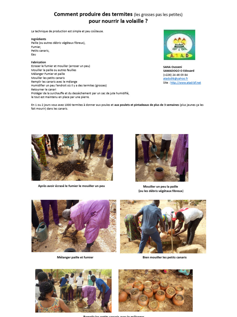 Produire Des Termites - Diaporama | PDF