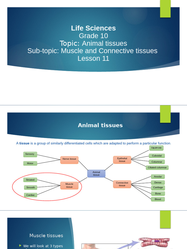 Life Sciences Grade 10 | PDF