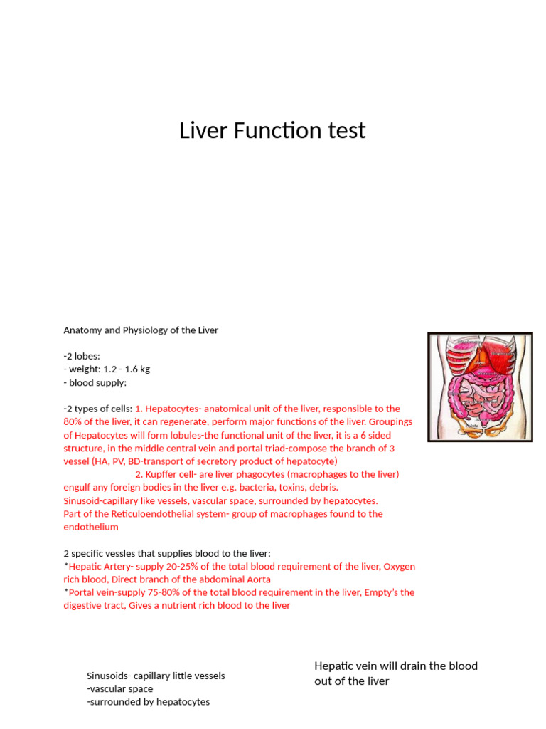 Liver Function Test SOST (NOTES) | PDF