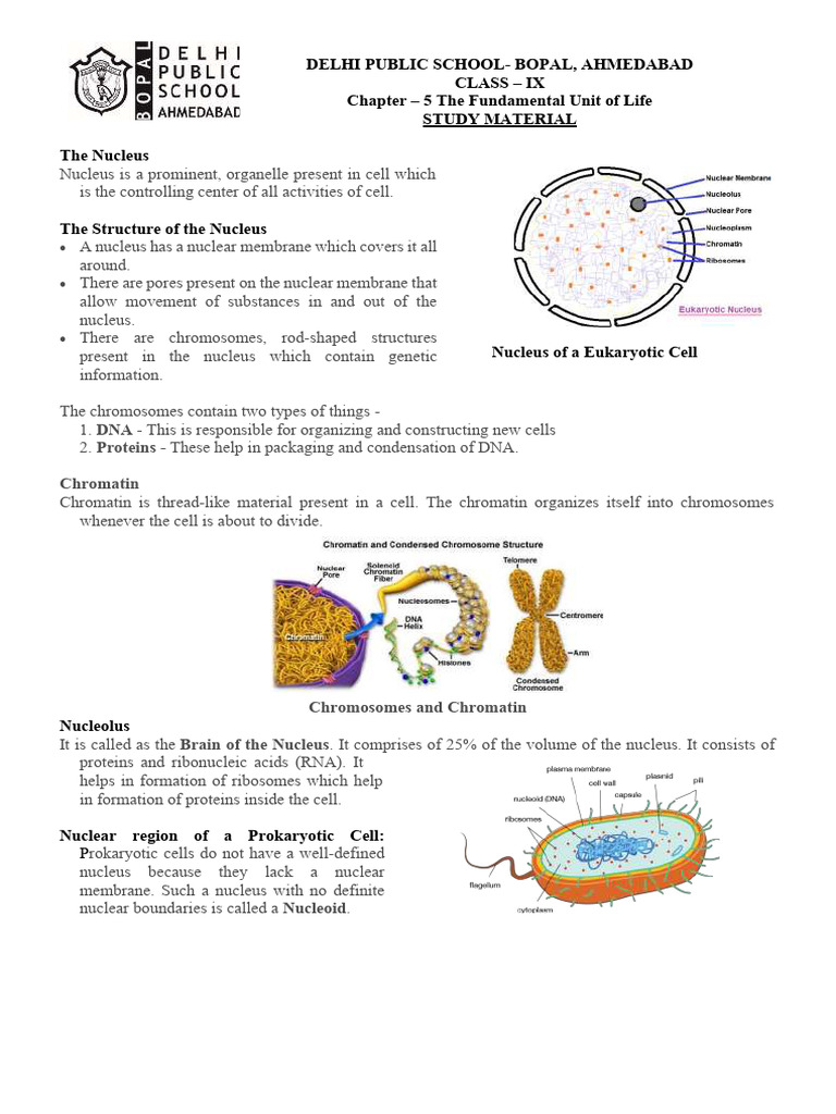 CH 5 The Fundamental Unit of Life Study Material 2 | PDF