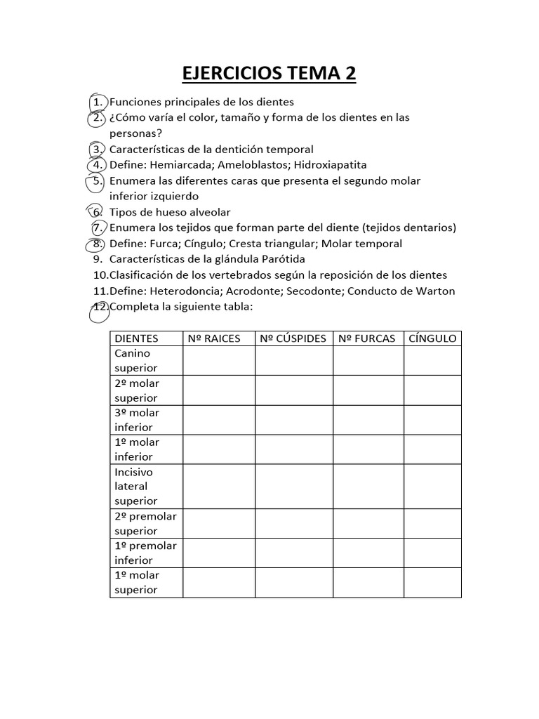 Ejercicios Tema 2 Tao | PDF