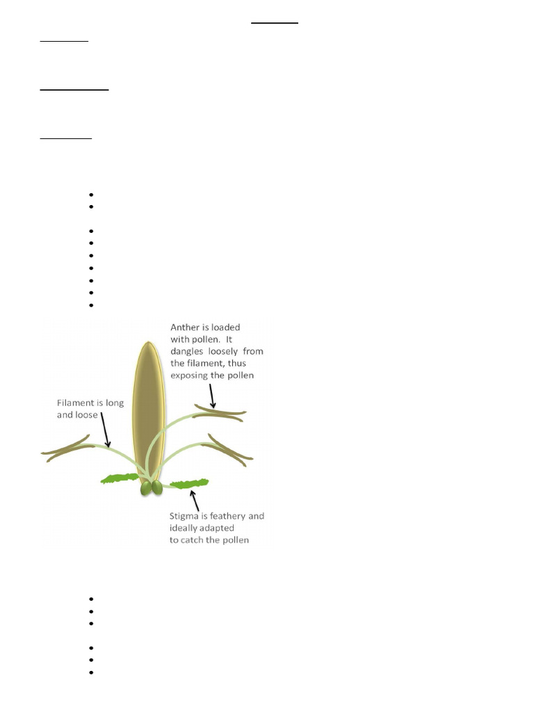 Spotting Class 12th Biology Practical 2024-25 | PDF