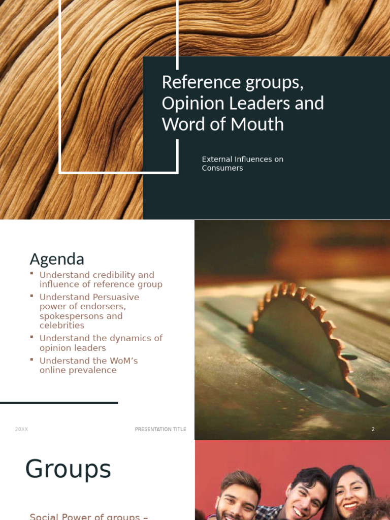 Reference Groups, Opinion Leaders and Word of | PDF