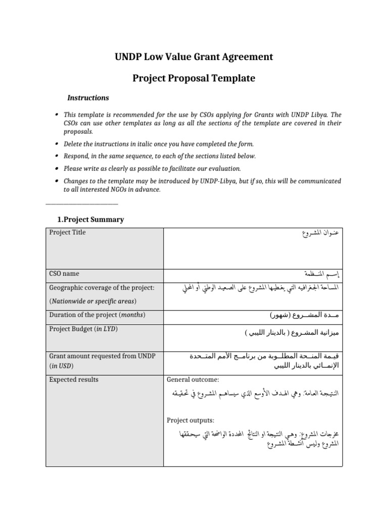 Project Proposal Template UNDP | PDF