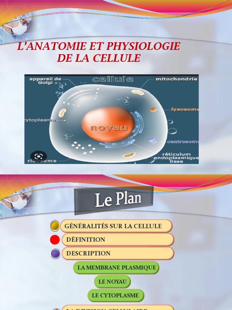 Anat Et Physio de La Cellule | PDF