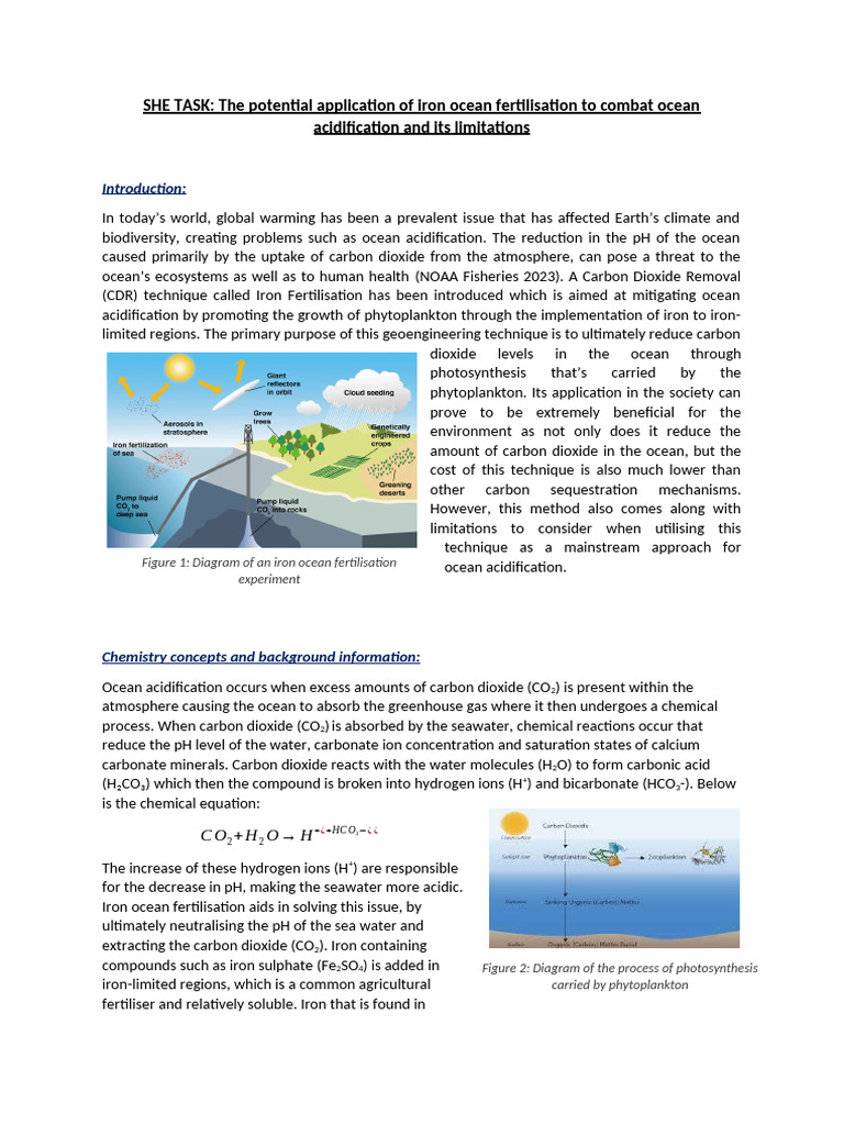 CHEM She Task | PDF | Ocean Acidification | Science & Mathematics