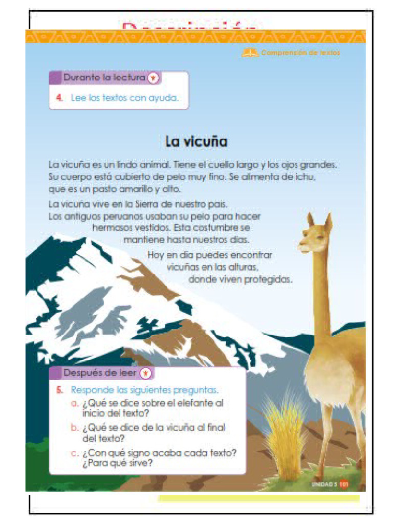 Descripcion La Vicuna | PDF