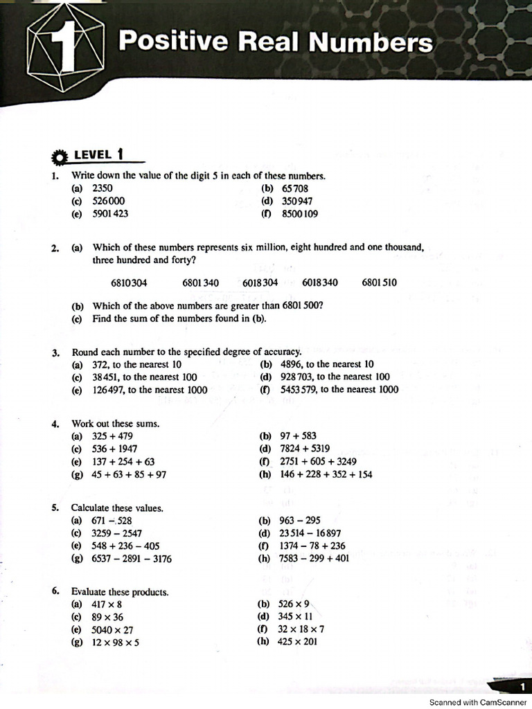 1 positive Real Numbers | PDF