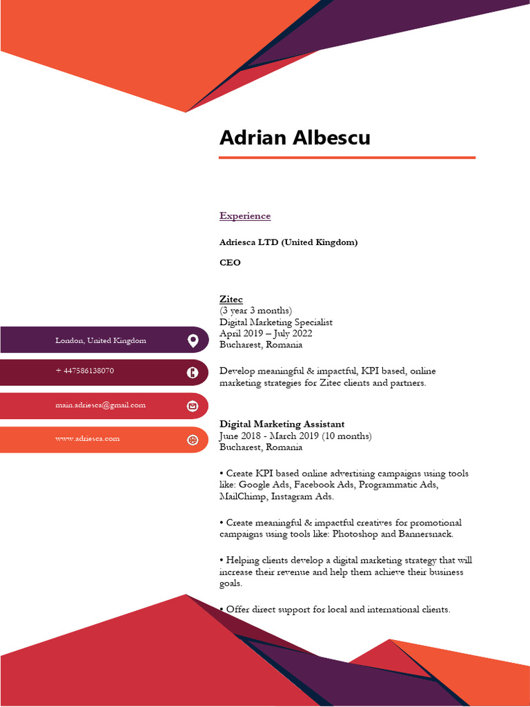 Adrian Albescu: Experience | PDF