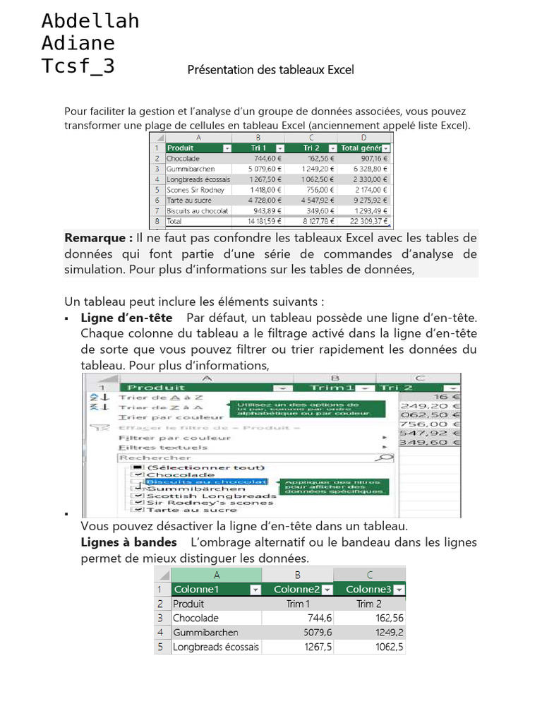 Présentation des tableaux Excel | PDF