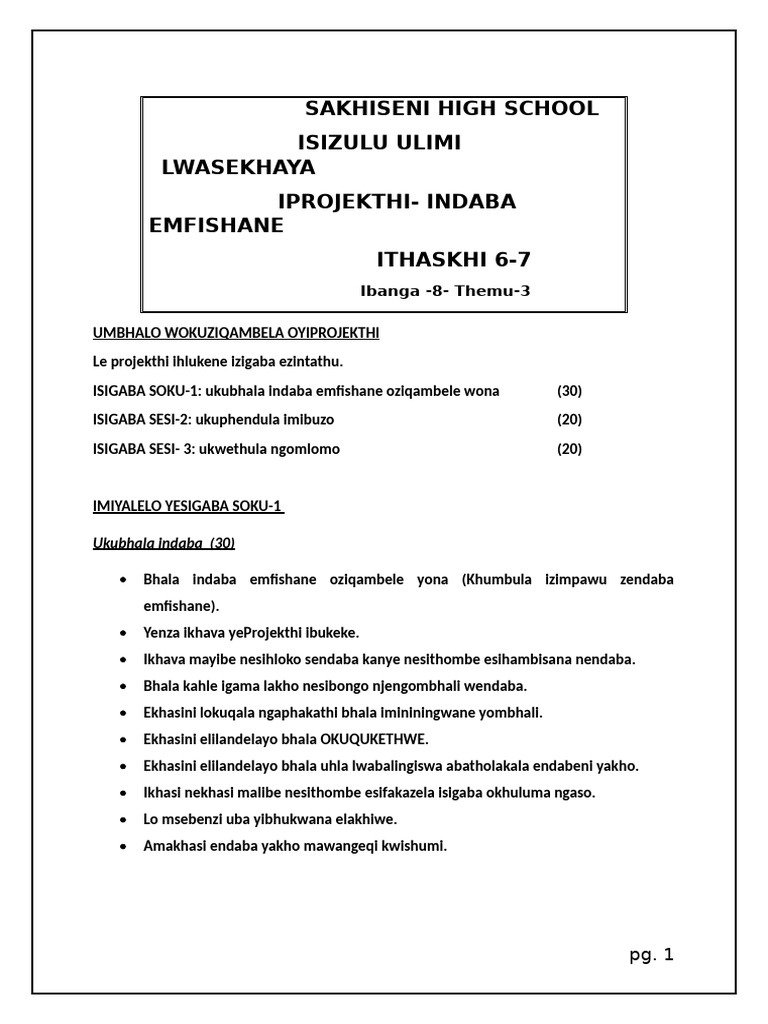 Term 3 Project - Zulu | PDF