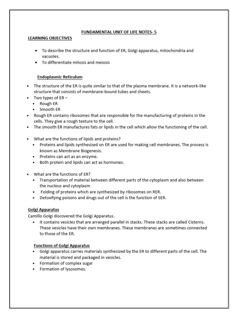 Grade 9 - Bio - Fundamental Unit - Notes - 24-25 | PDF